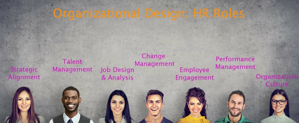 Organizational Design Guide and Creation - California Business Lawyer ...